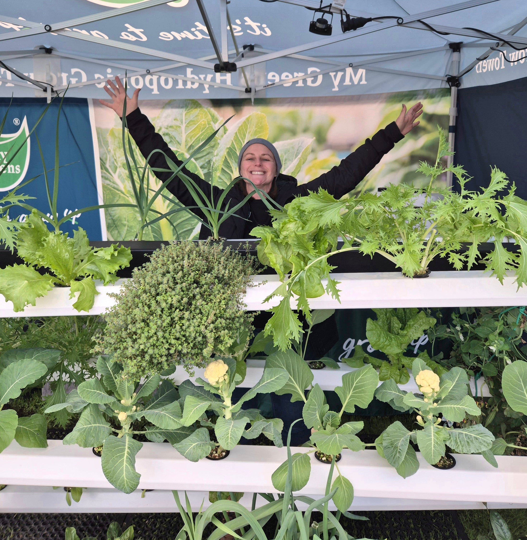 Hydroponics - What is an NFT system? – My Greens Hydroponics Ltd