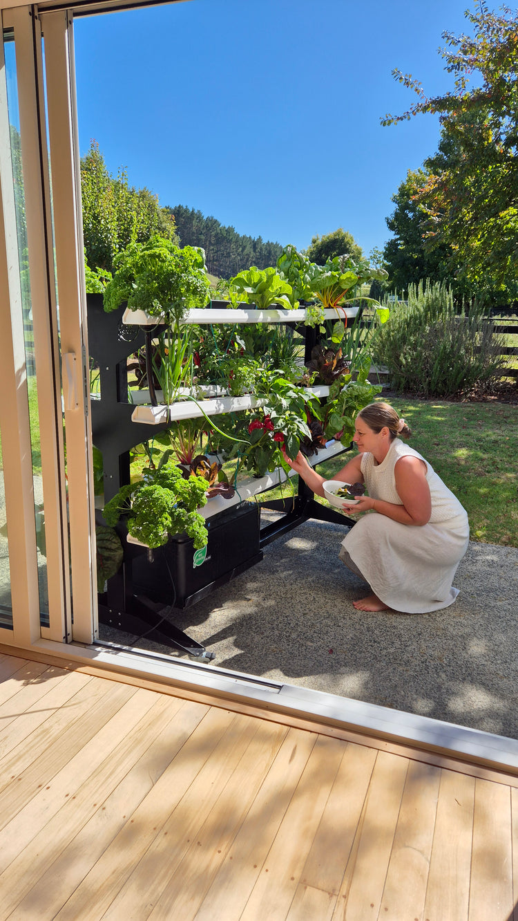 My Greens | How to view an Advanced Hydroponic Set-Up | DIY Hydroponic ...