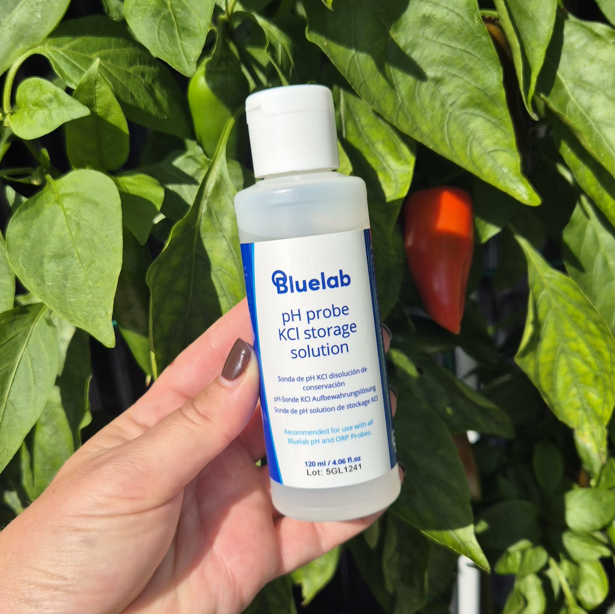 Bluelab probe KCI storage solution – My Greens Hydroponics Ltd