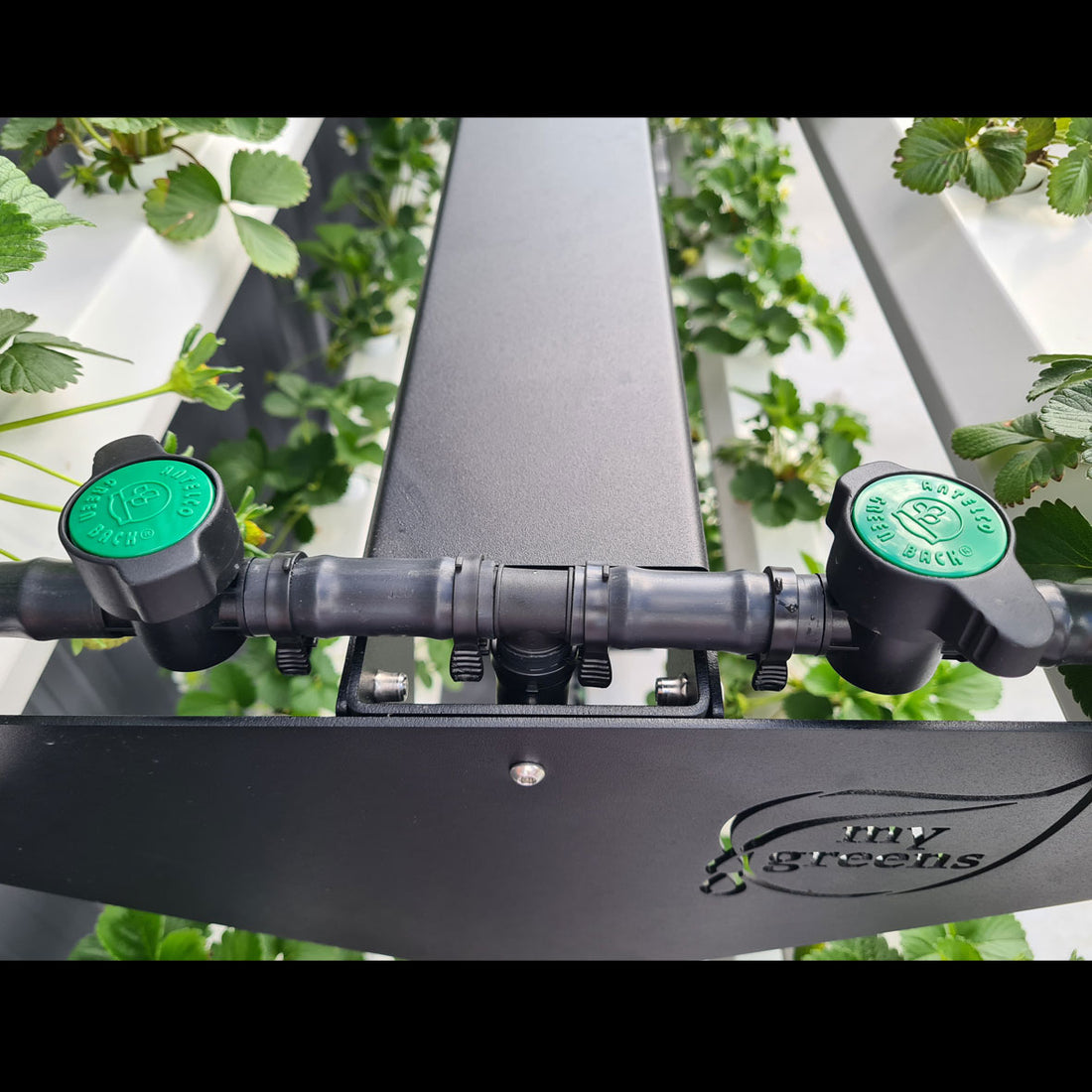 My Greens Hydroponic Garden Towers – My Greens Hydroponics Ltd